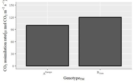 Advanced Text Formatting in R STUDIO Graphs: Superscripts and ...