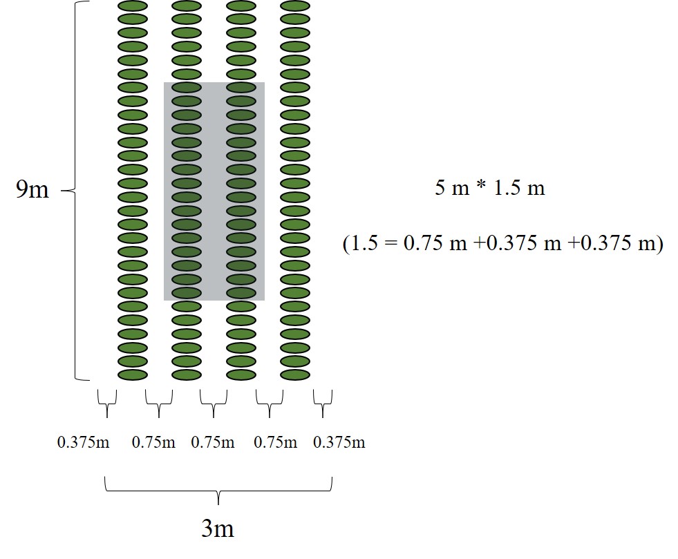 Method for Calculating Corn Yield (Mg/ha) from Experimental Field Data ...